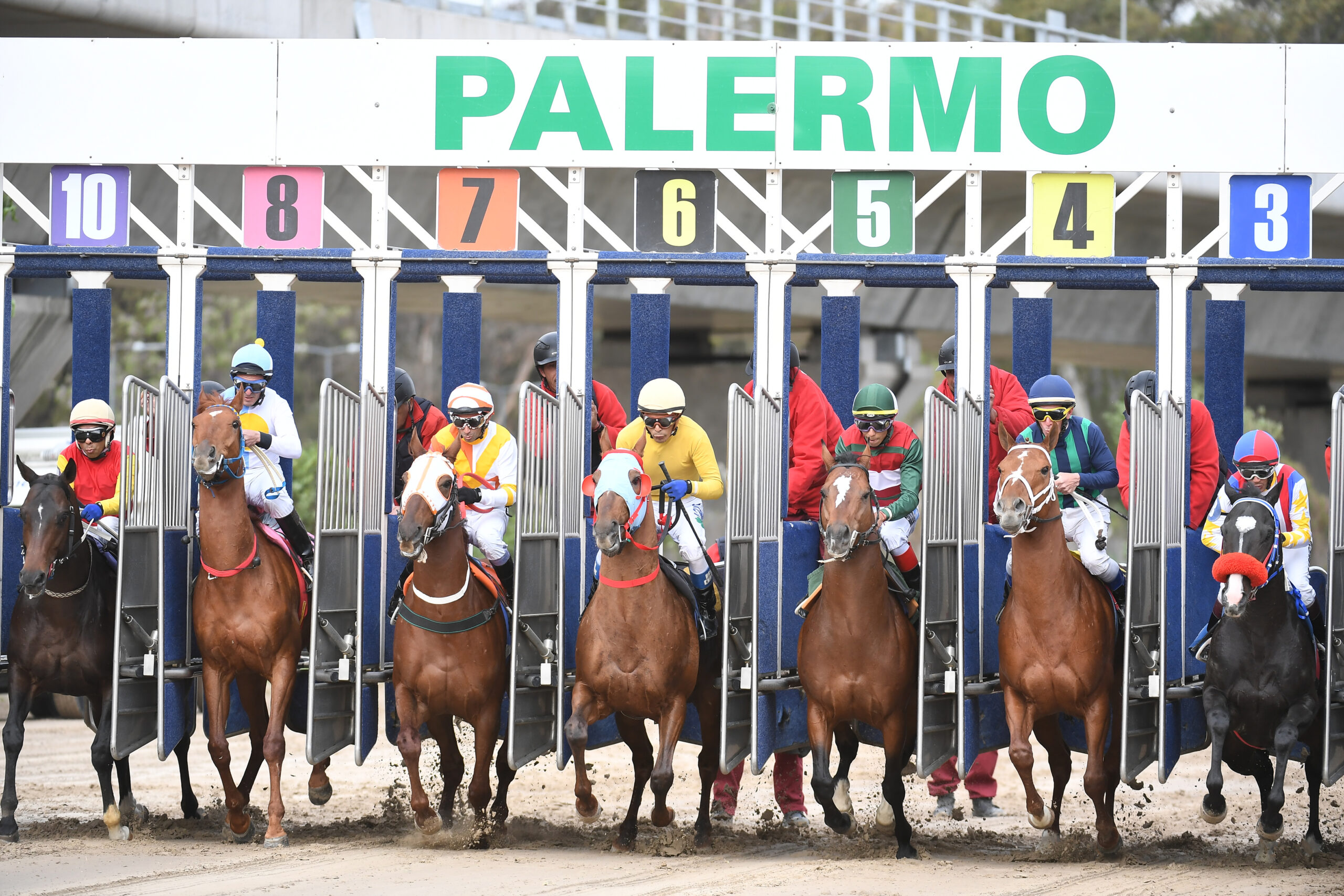 Presentaron un nuevo reglamento sobre el uso de la fusta - Edición ...